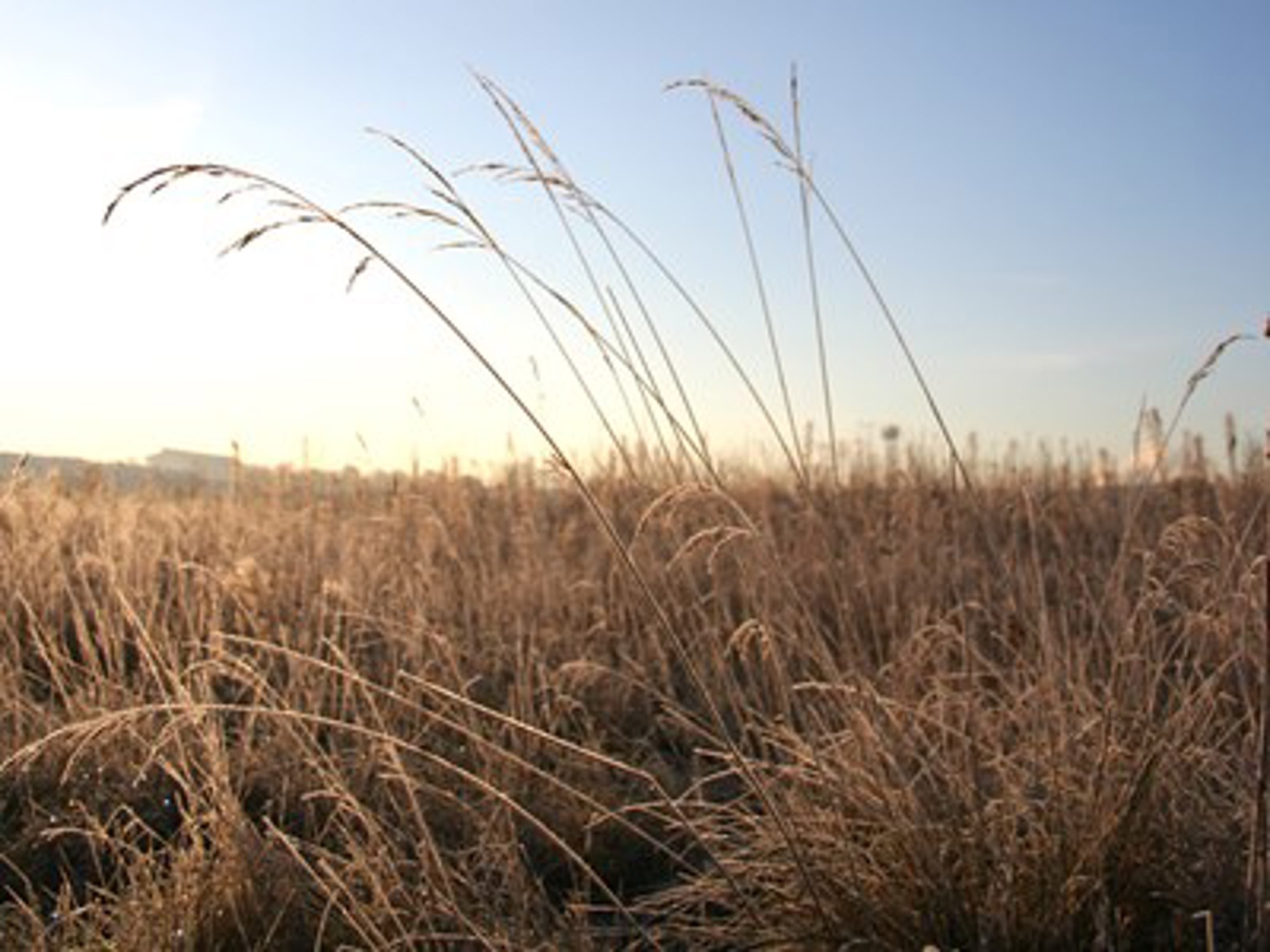 Autumn Farming Conference | Larking Gowen