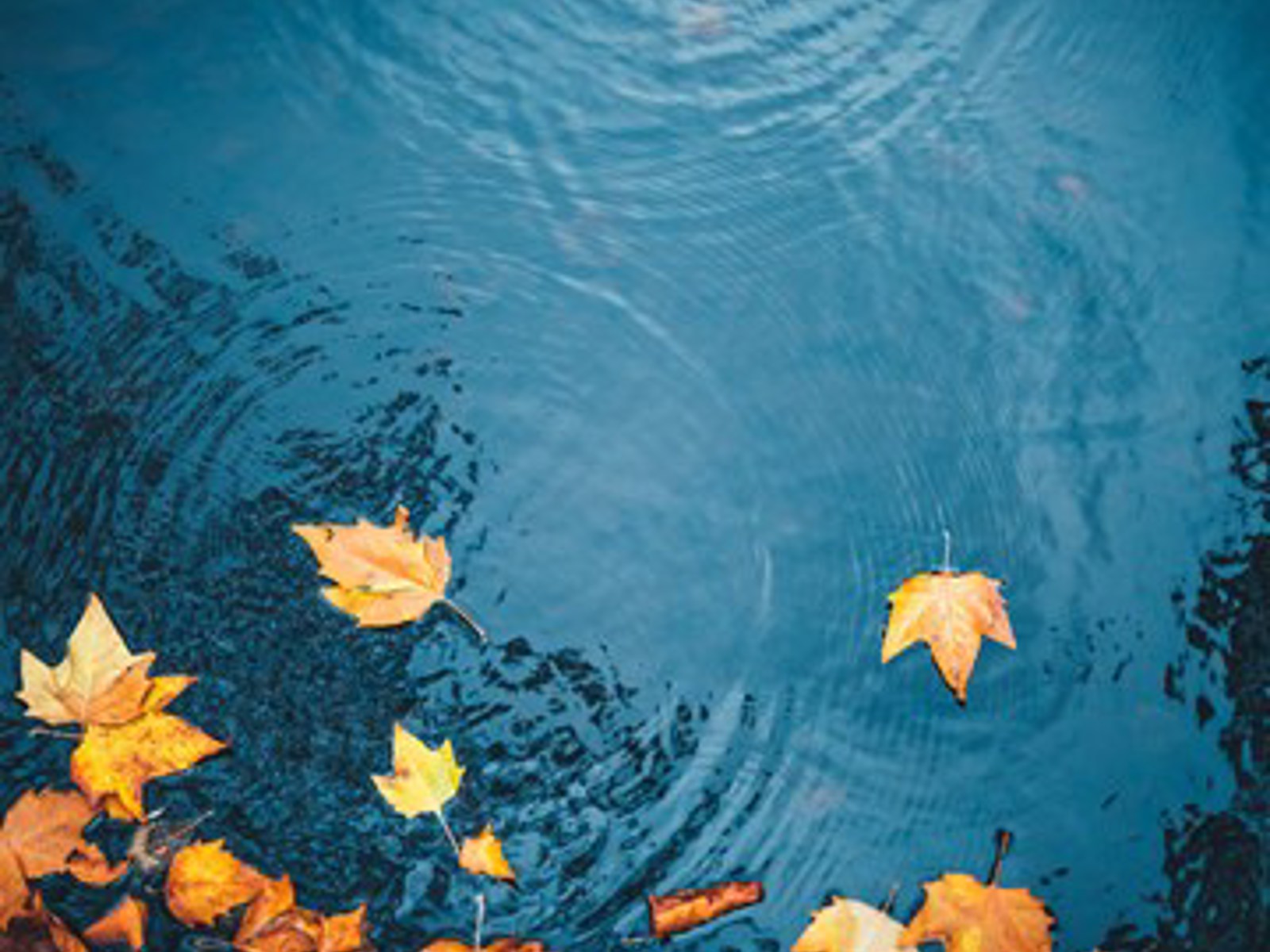 Case Studies | Larking Gowen